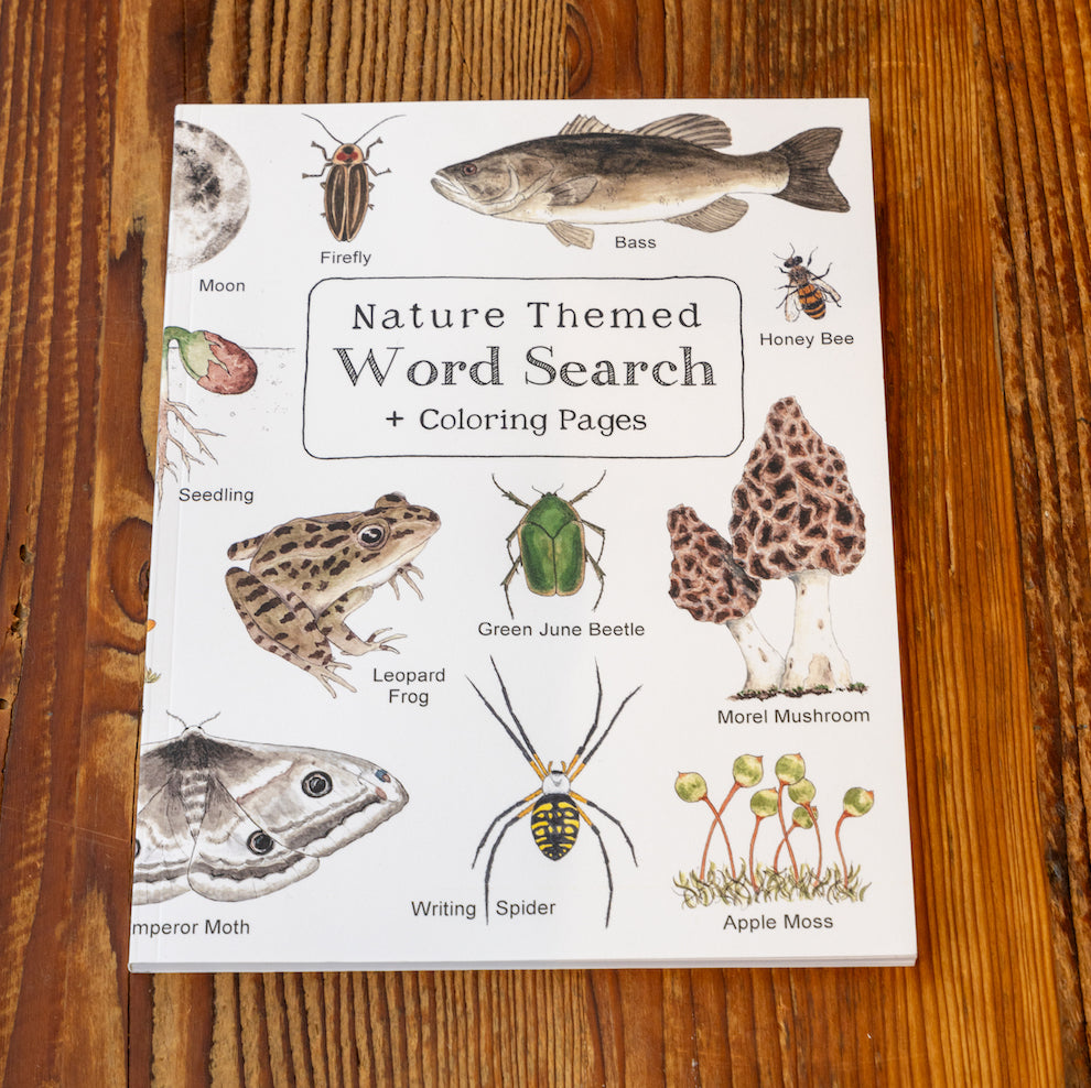 Nature Themed Word Search – Common Deer