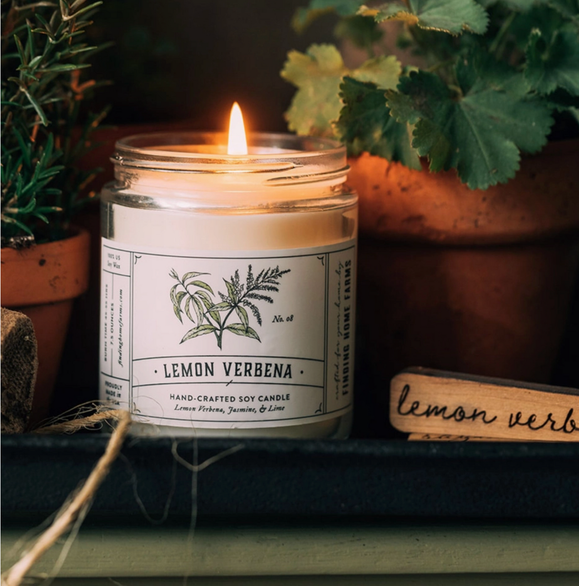 Lemon Verbena Candle - Large – Common Deer